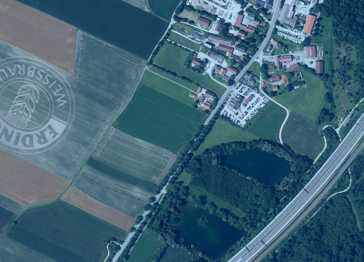 Geoglyphen und Bodenbilder: Die Kunst der Giganten - Von den Nazca ...