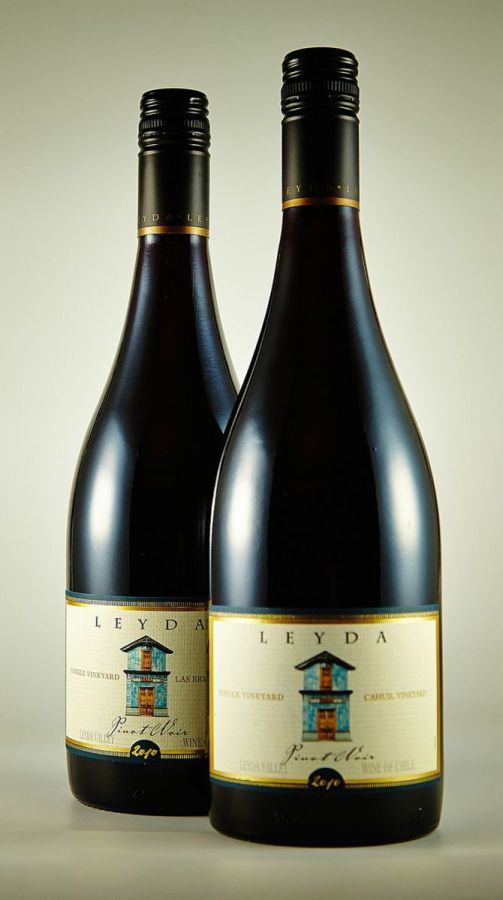 Was ist ein guter Wein, und wie erkennen Weinkenner die Unterschiede zu ...