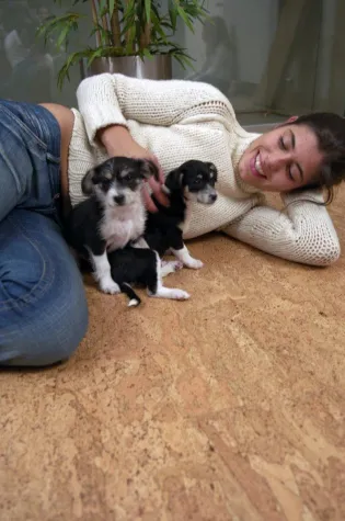 Bodenbeläge ohne Lösungsmittel - AMORIM führt das ökologisch ...