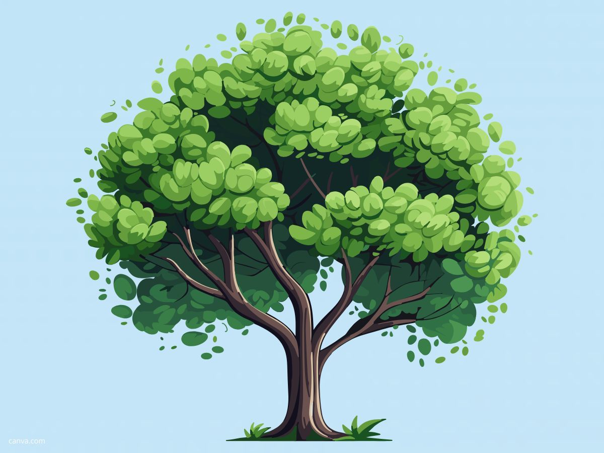 eMBIS Akademie für Online Marketing pflanzt 2025 weiter Bäume - openPR