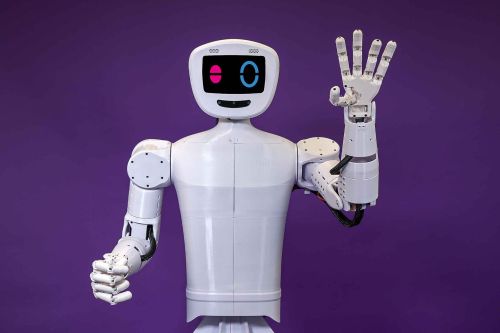 Open-Source-Roboter pib gewinnt German Design Award 2025 - openPR