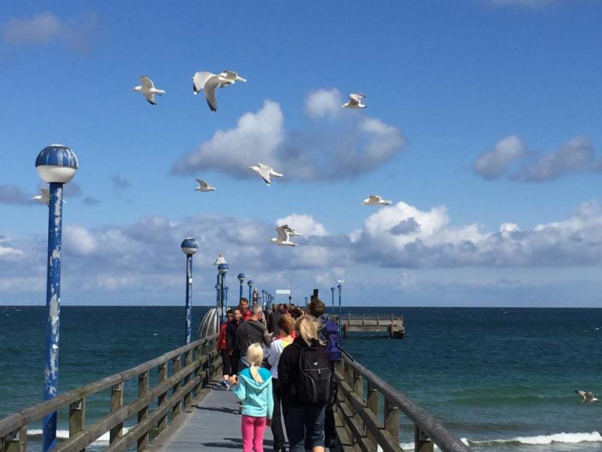 Ostseeheilbad Zingst - Urlaub zwischen Meer und Bodden - openPR
