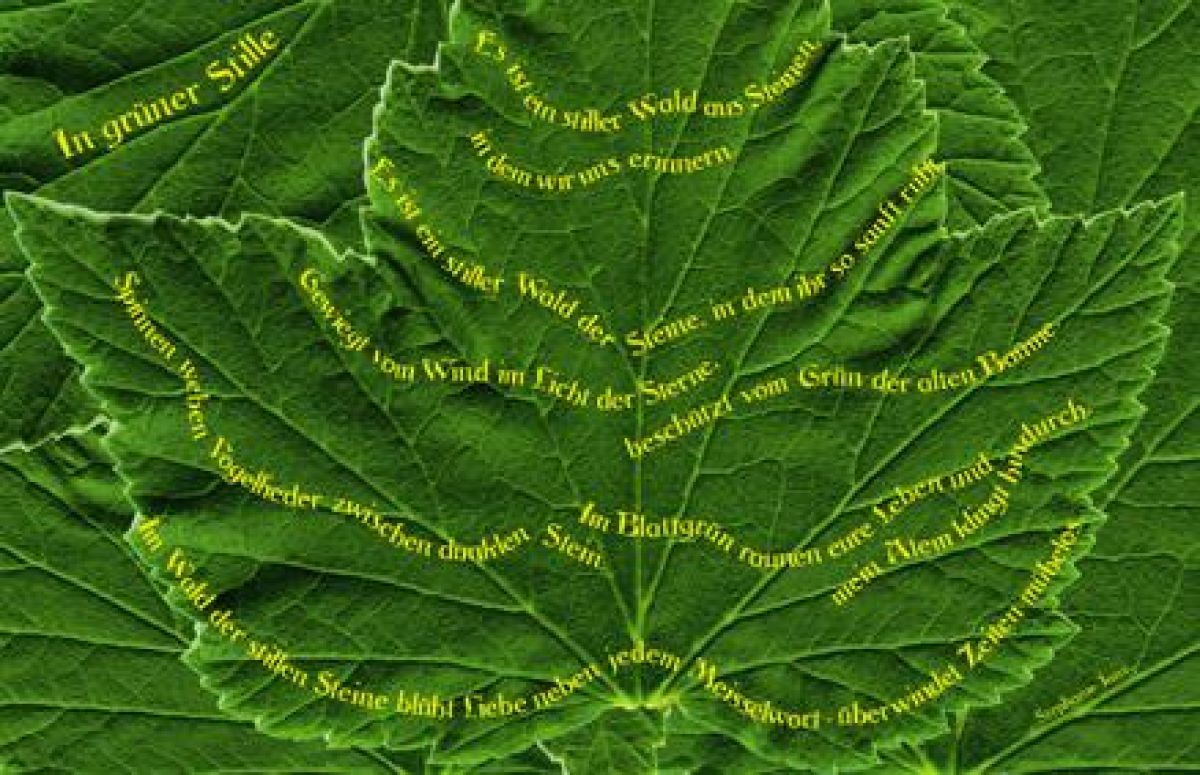 Schamanin des Wortes ist die Hüterin der "Lichtworte"