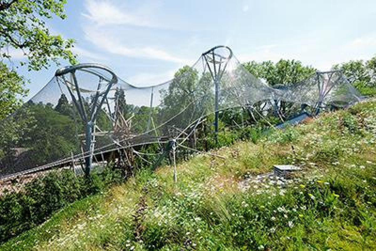 Edelstahlseilnetz überspannt das neue Affengehege der Wilhelma