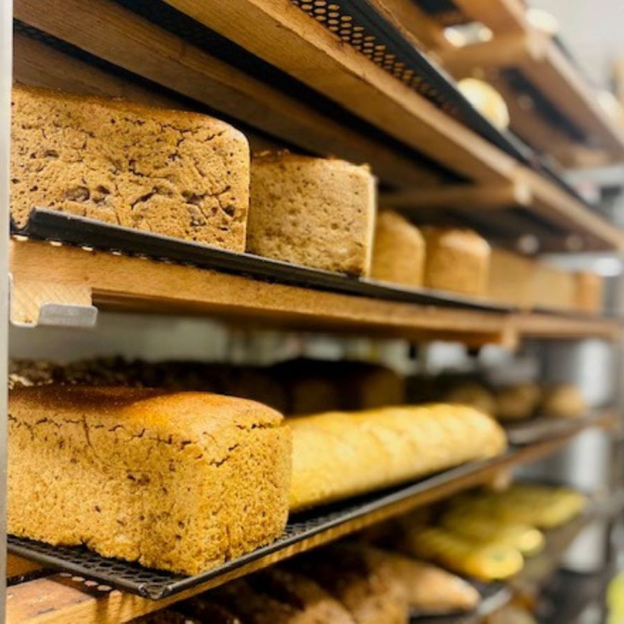 HAUSEIGENE BIO BÄCKEREI - openPR