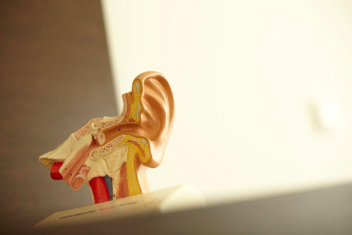 Dr. Adam Stanek - Ohrchirurgische Operation im St. Josefs Krankehaus ...